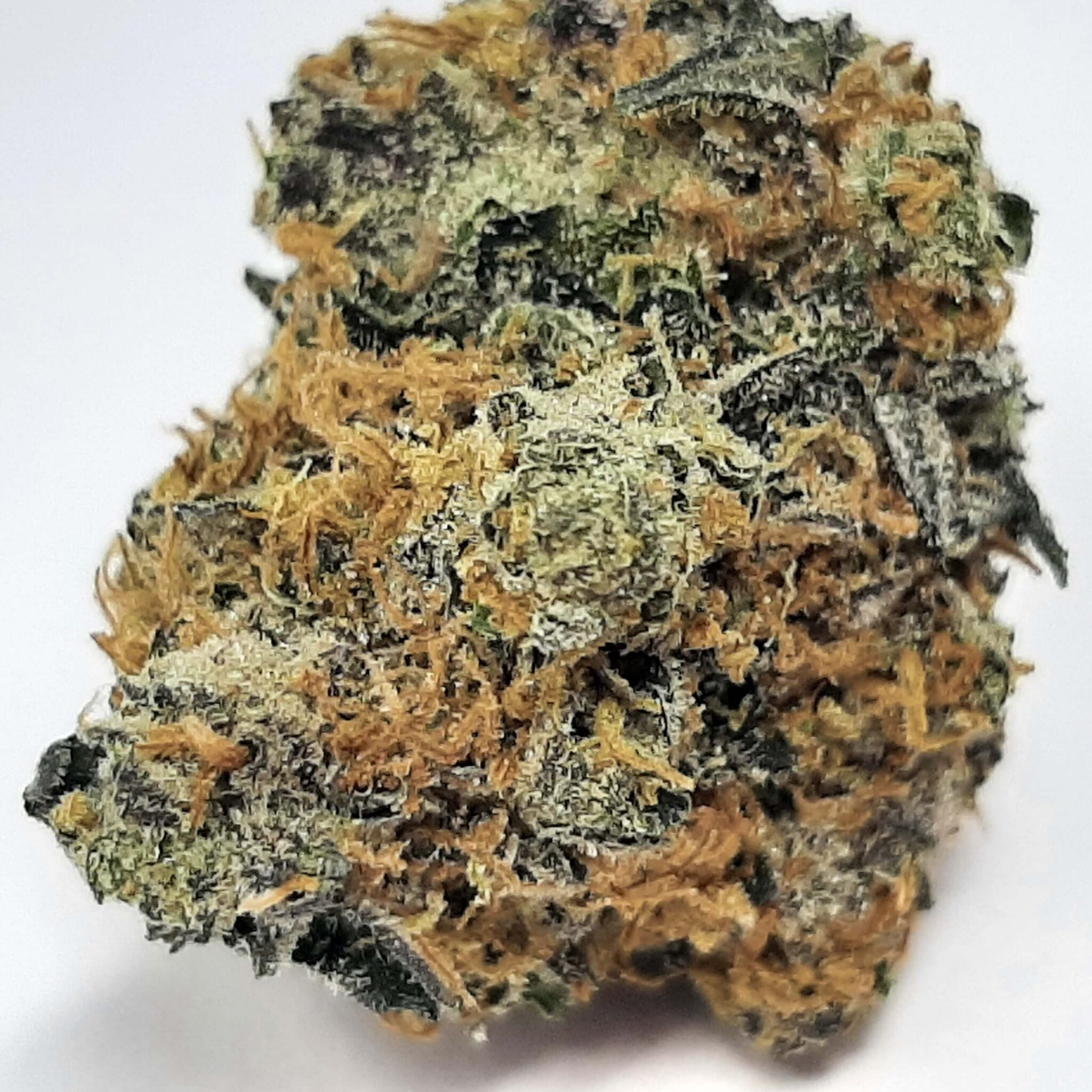Indica Strains – HighClub