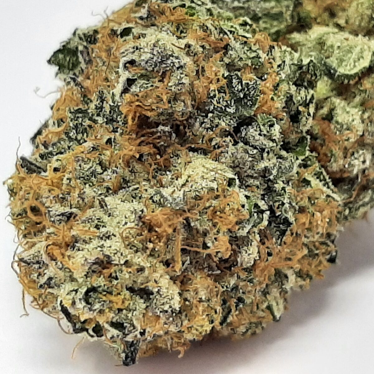 Quad AAAA Weed – HighClub