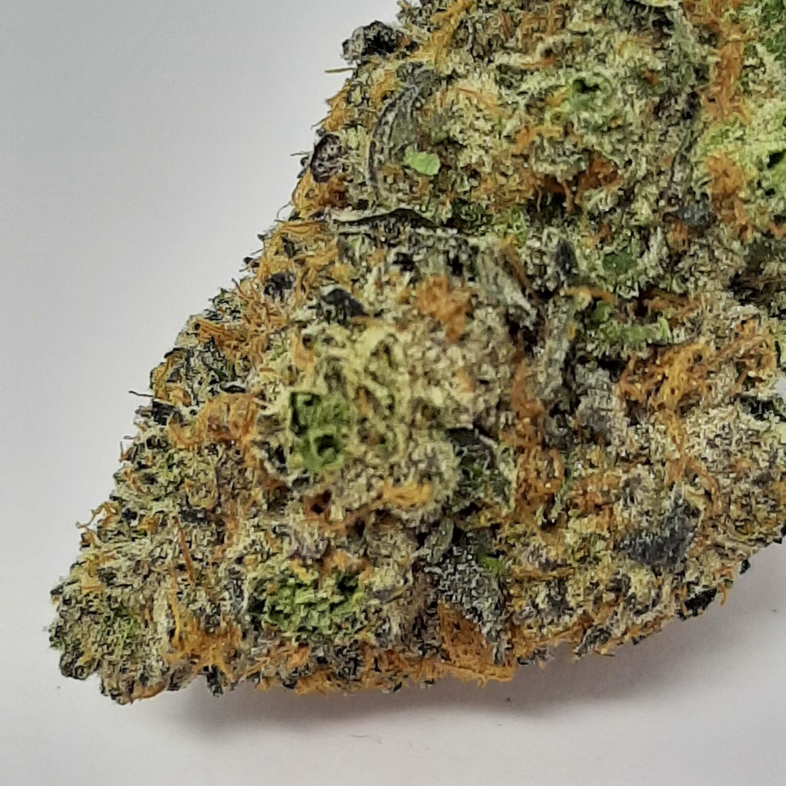Indica Strains – HighClub