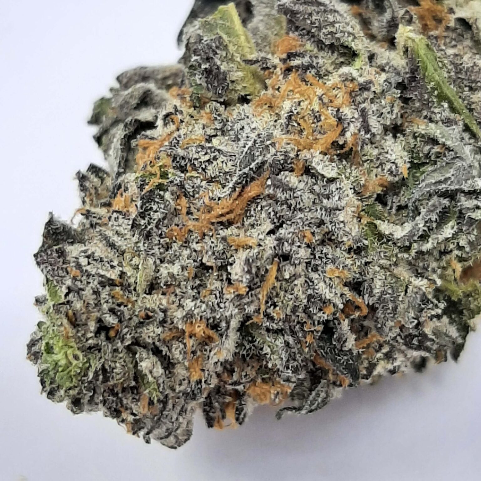 Quad AAAA Weed – HighClub