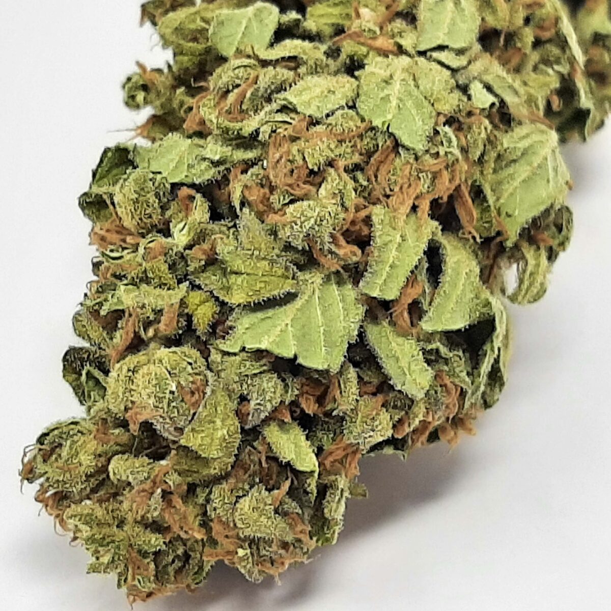 HighClub – Buy Weed Online Canada with the Best Online Dispensary in Canada