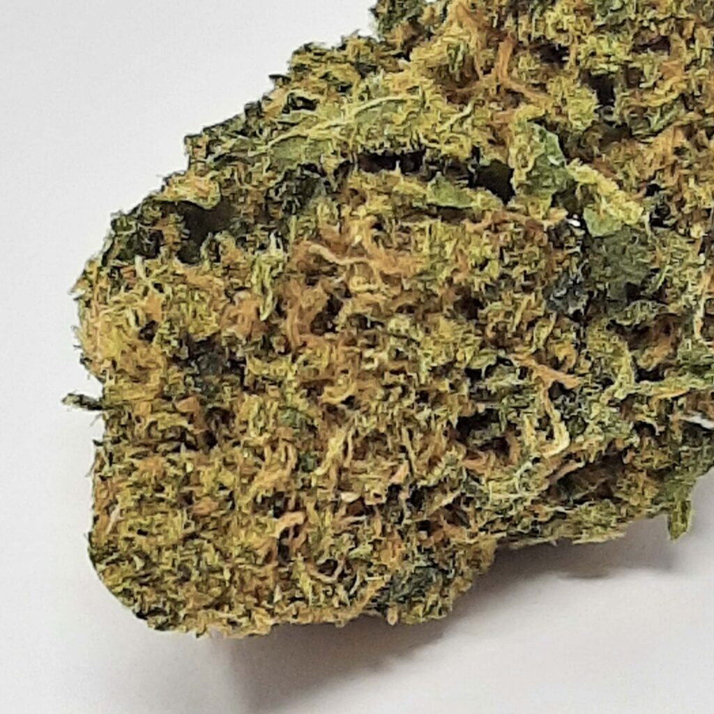 Indica Strains – HighClub