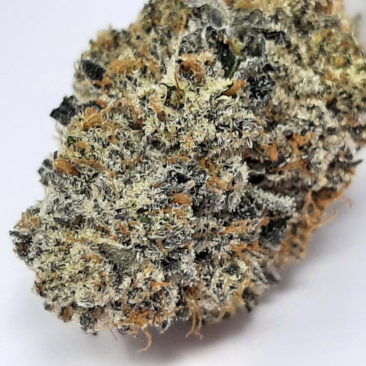 Quad AAAA Weed – HighClub