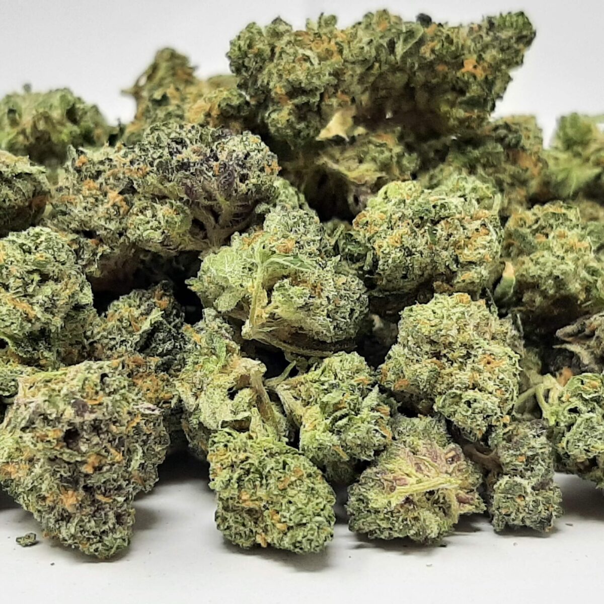 Hybrid Strains – HighClub