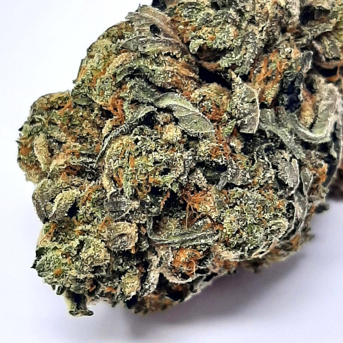 Indica Strains – HighClub