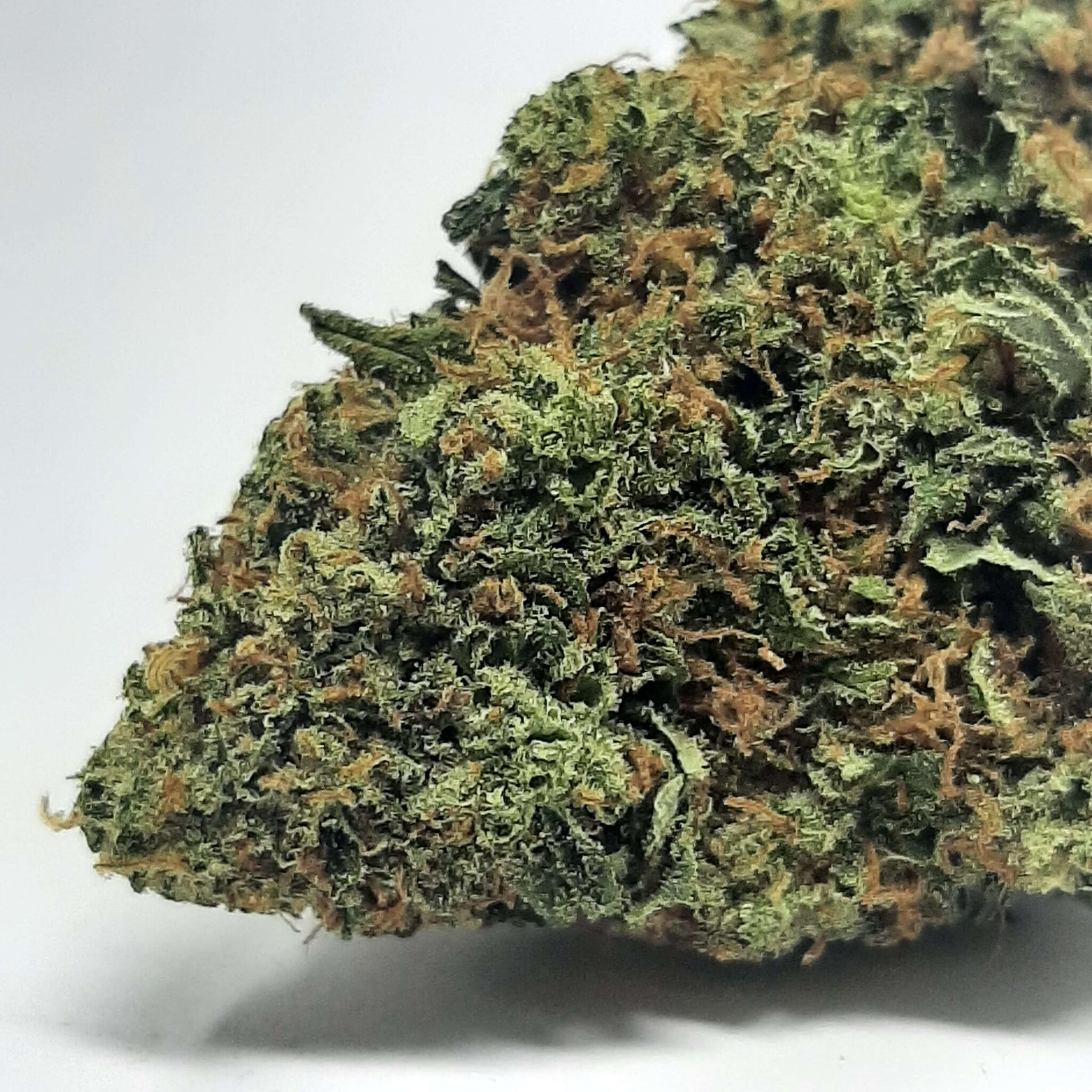 HighClub – Buy Weed Online Canada with the Best Online Dispensary in Canada