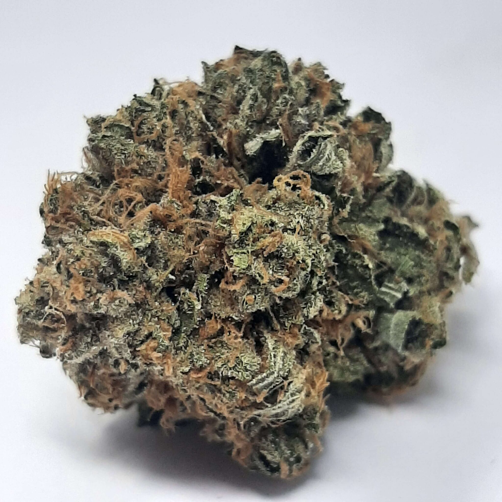 Buy AAA+ Gastro Pop Online | Buy Cannabis Cheap Weed Ounces, Flowers ...